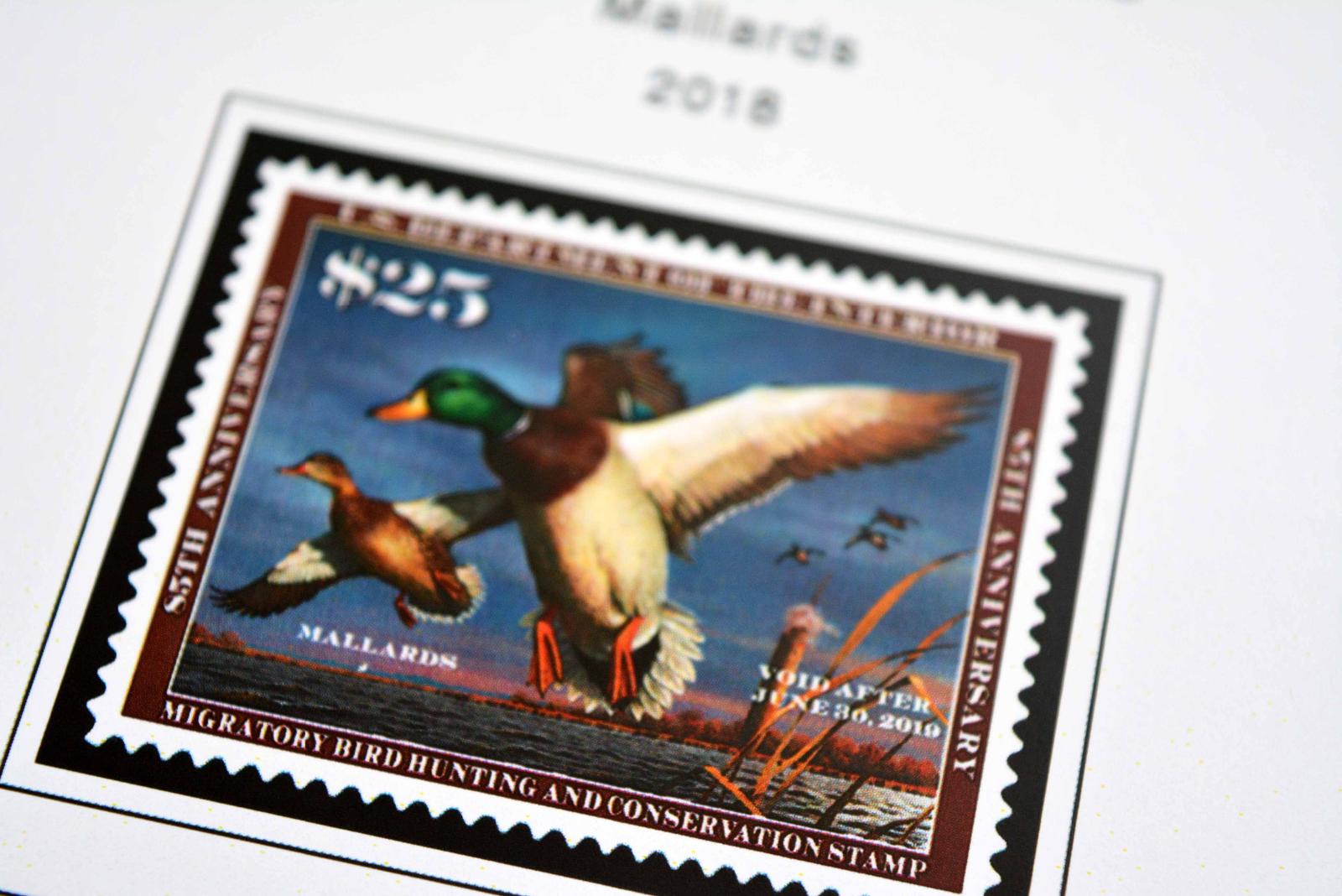 COLOR PRINTED USA FEDERAL DUCK 1934-2020 STAMP ALBUM PAGES (46 illustr ...