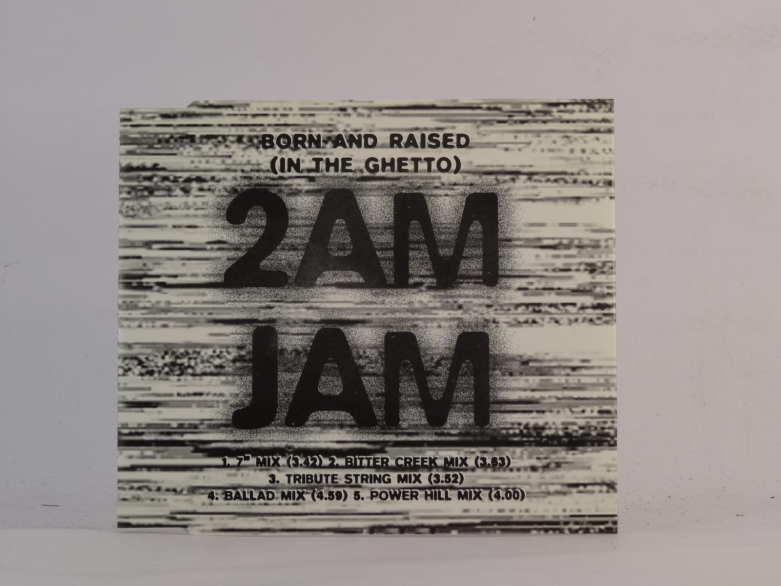 2AM JAM BORN AND RAISED (IN THE GHETTO) (E44) 1 Track Promo CD Single also Pictu £5.75 - PicClick UK