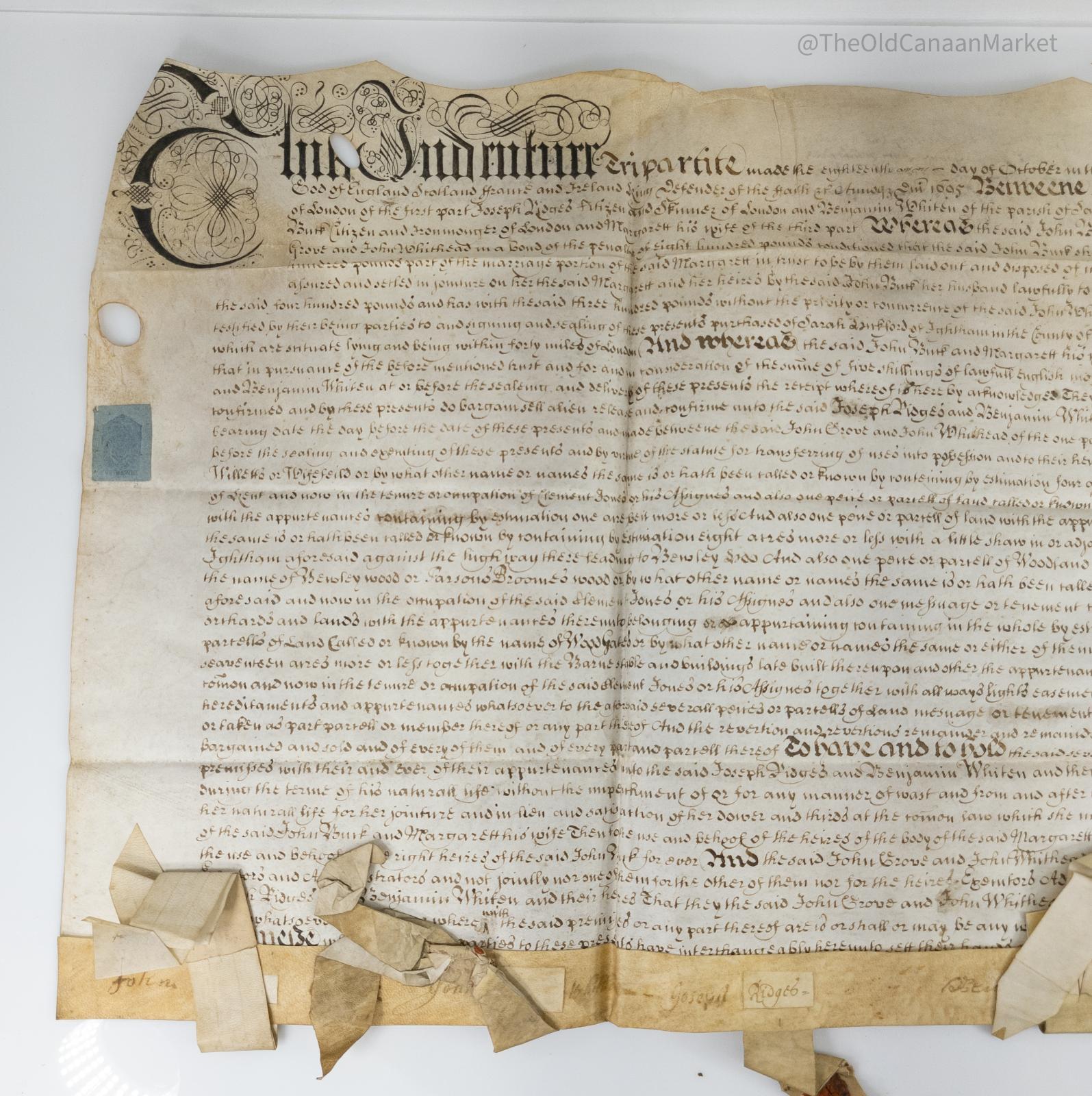 Antique Renaissance Signed Legal Document Vellum 1695 Wax Seals Decree ...