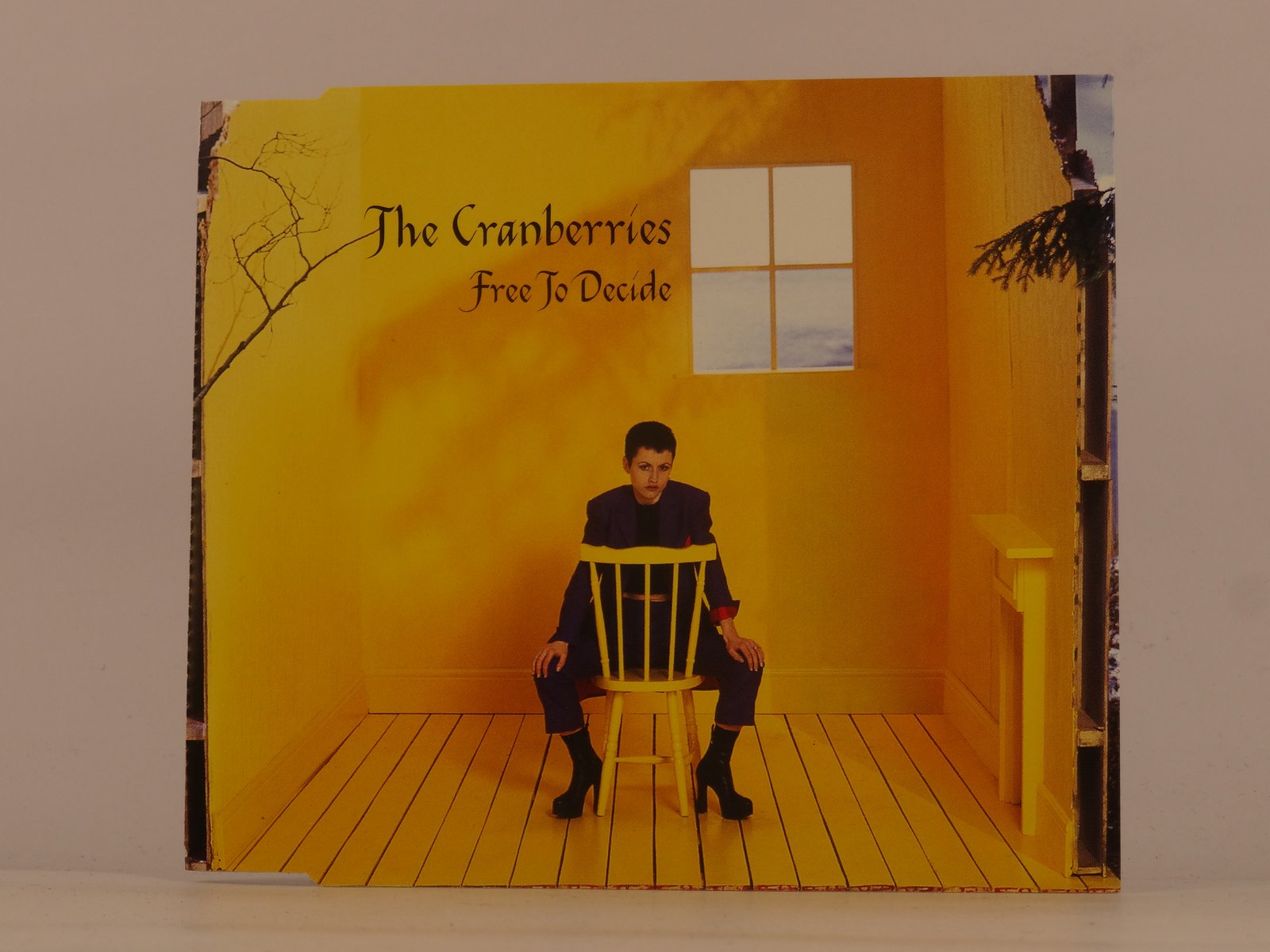 THE CRANBERRIES FREE TO DECIDE (I3) 3 Track CD Single plus Picture ...